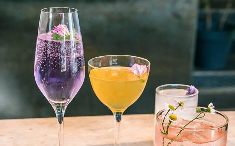Easy cocktail recipes to try – You and I